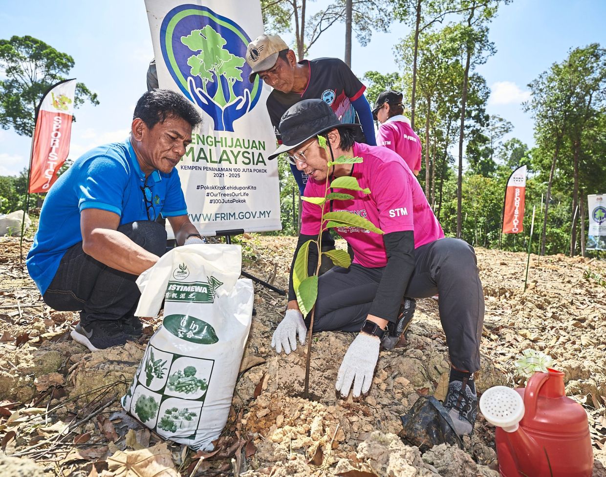 Volunteers plant tree saplings in Melaka for second campaign | The Star