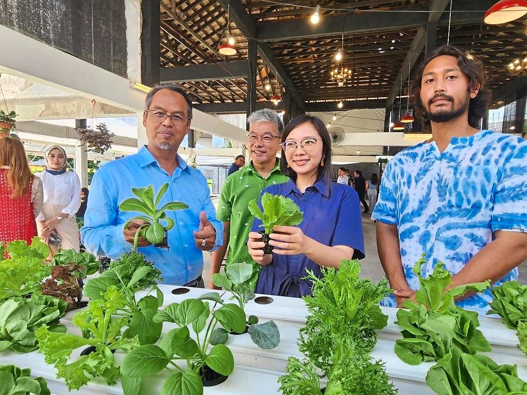 Going beyond urban farming | The Star