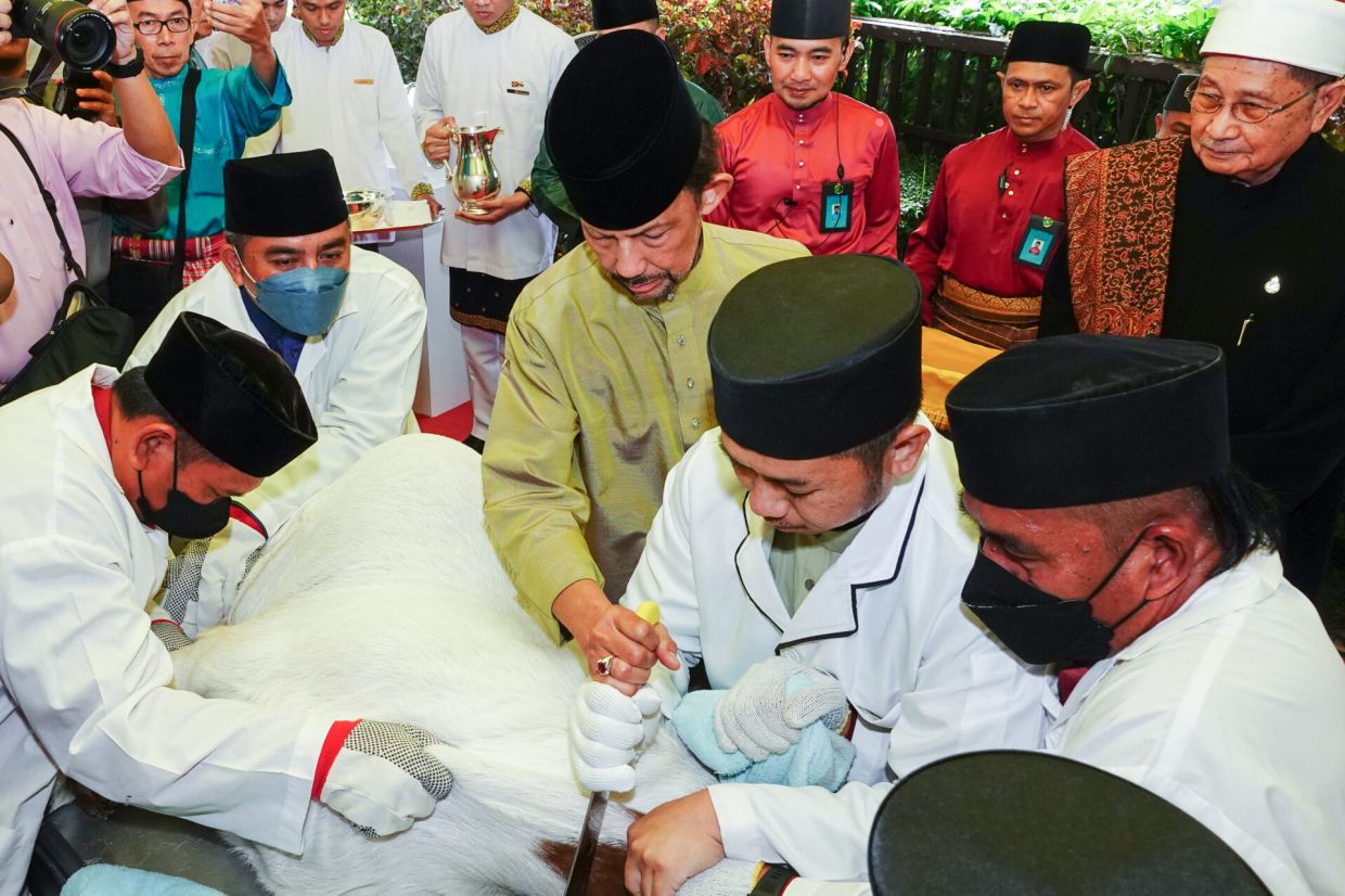 Brunei sultan performs Aidiladha prayers, sacrificial rites | The Star