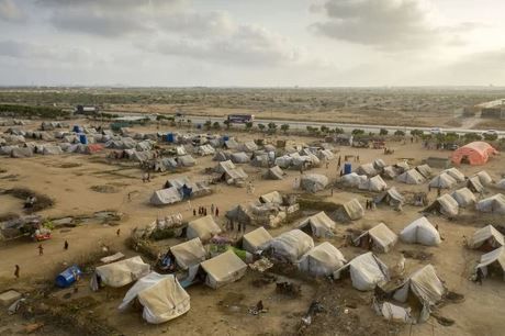 US$30bil disaster is just the tip of a deadly cycle | The Star