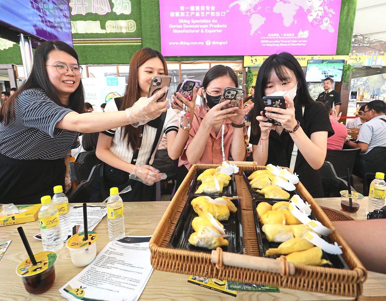 Third international durian, cultural fest to woo the world from Sept 8 ...