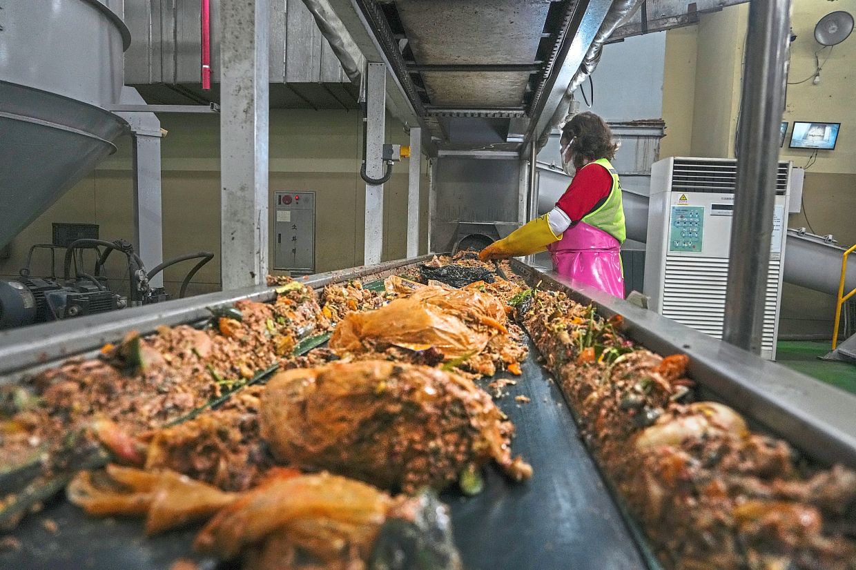 Putting food waste to good use | The Star