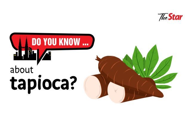 Do you know ... about tapioca? | The Star