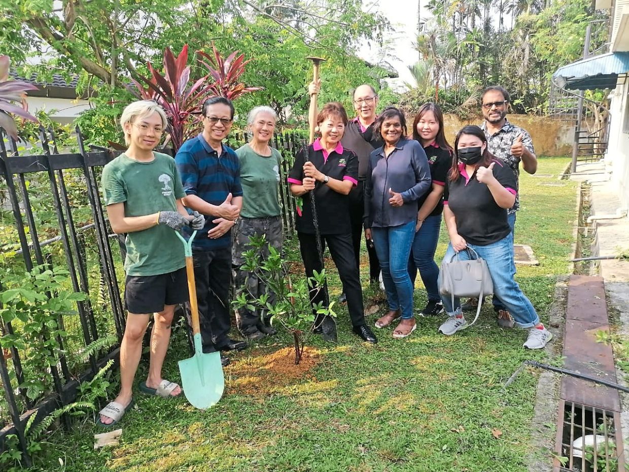 Gardening workshop focuses on environmental education for children ...