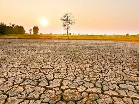 Thailand to see less rainfall into next year due to El Nino | The Star