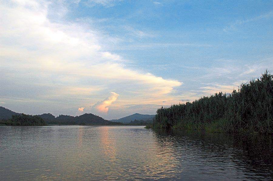 Tasik Chini retains Unesco status | The Star