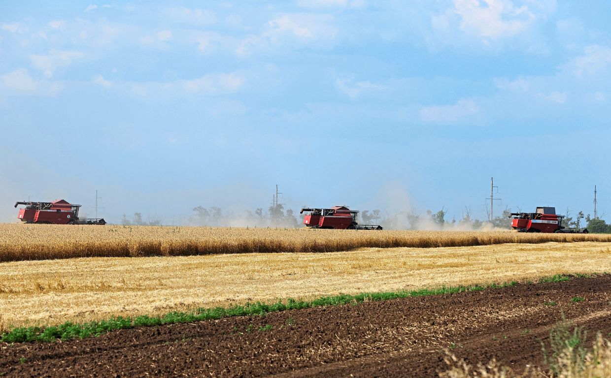 Wounded grain giant weathers the war | The Star