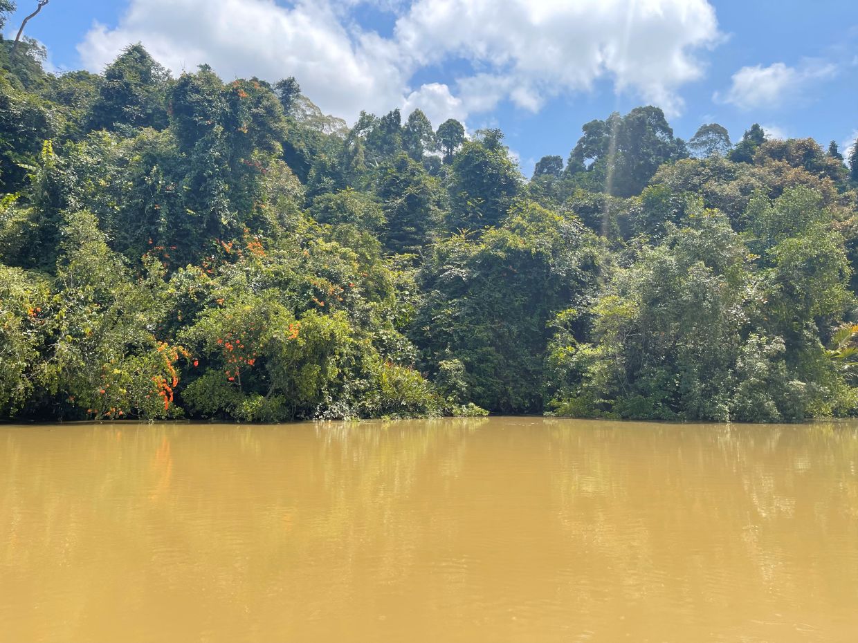 Ex-assistant minister wants govt intervention to boost tourism in rural ...