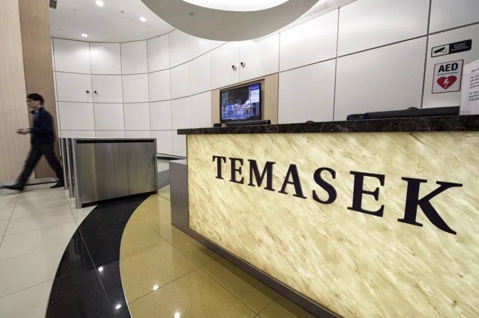 Temasek seeks partnerships in India investment | The Star