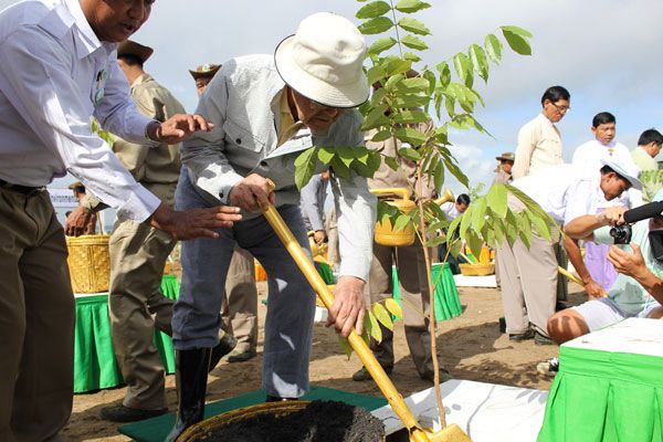 Myanmar to plant over 24 million tree saplings in 2023 for ...