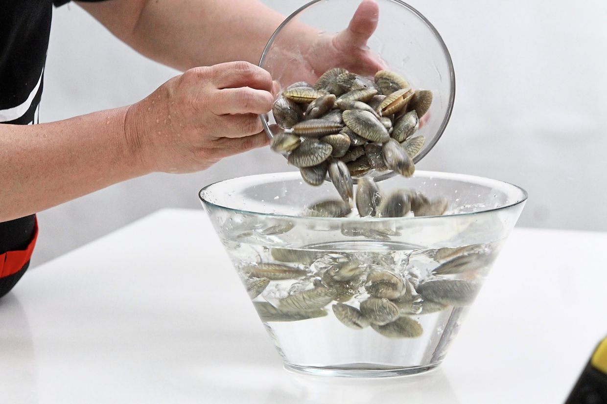Fulfilling your clamour for clams | The Star