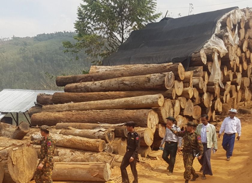 Myanmar seizes over 60 tons of illegal timbers in a week | The Star