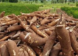 Forgotten Malaysian recipes you should know about | The Star