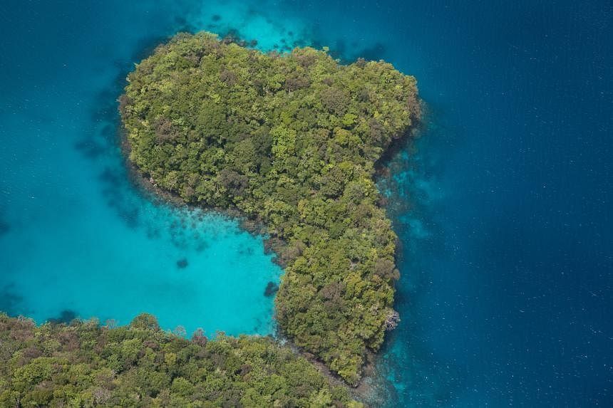 Alii Palau has not applied to operate Palau-S’pore flights despite ...