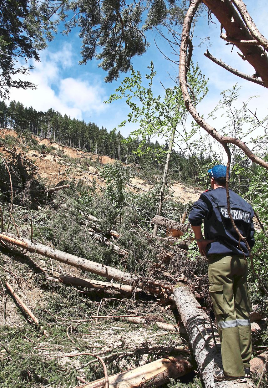 Wild, wild weather | The Star