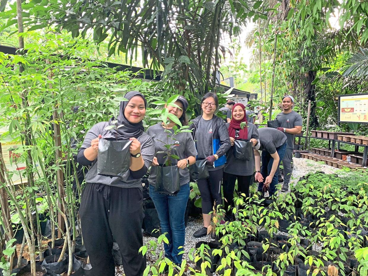 Volunteering to build caring communities | The Star