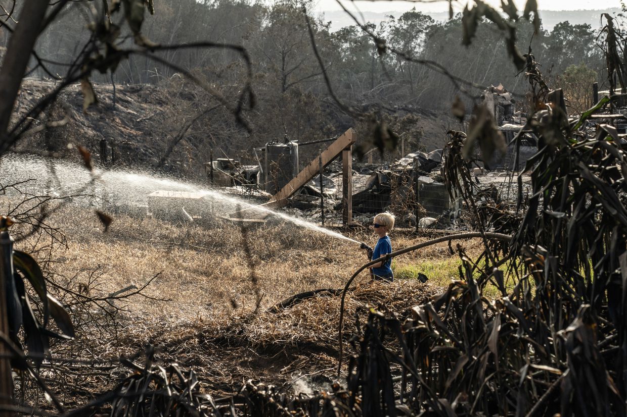 A deadly fire fueled by invasive plants | The Star
