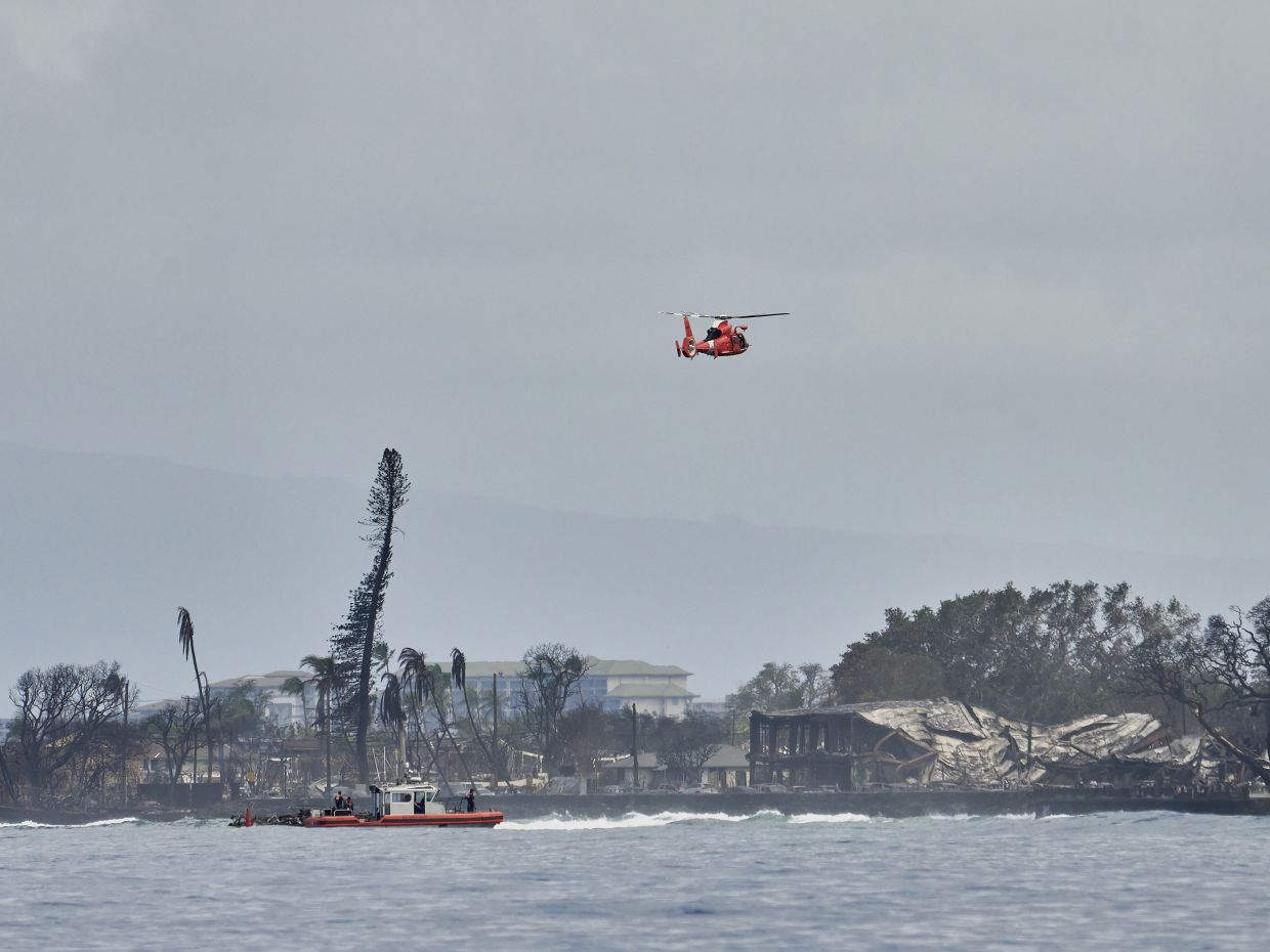A deadly fire fueled by invasive plants | The Star