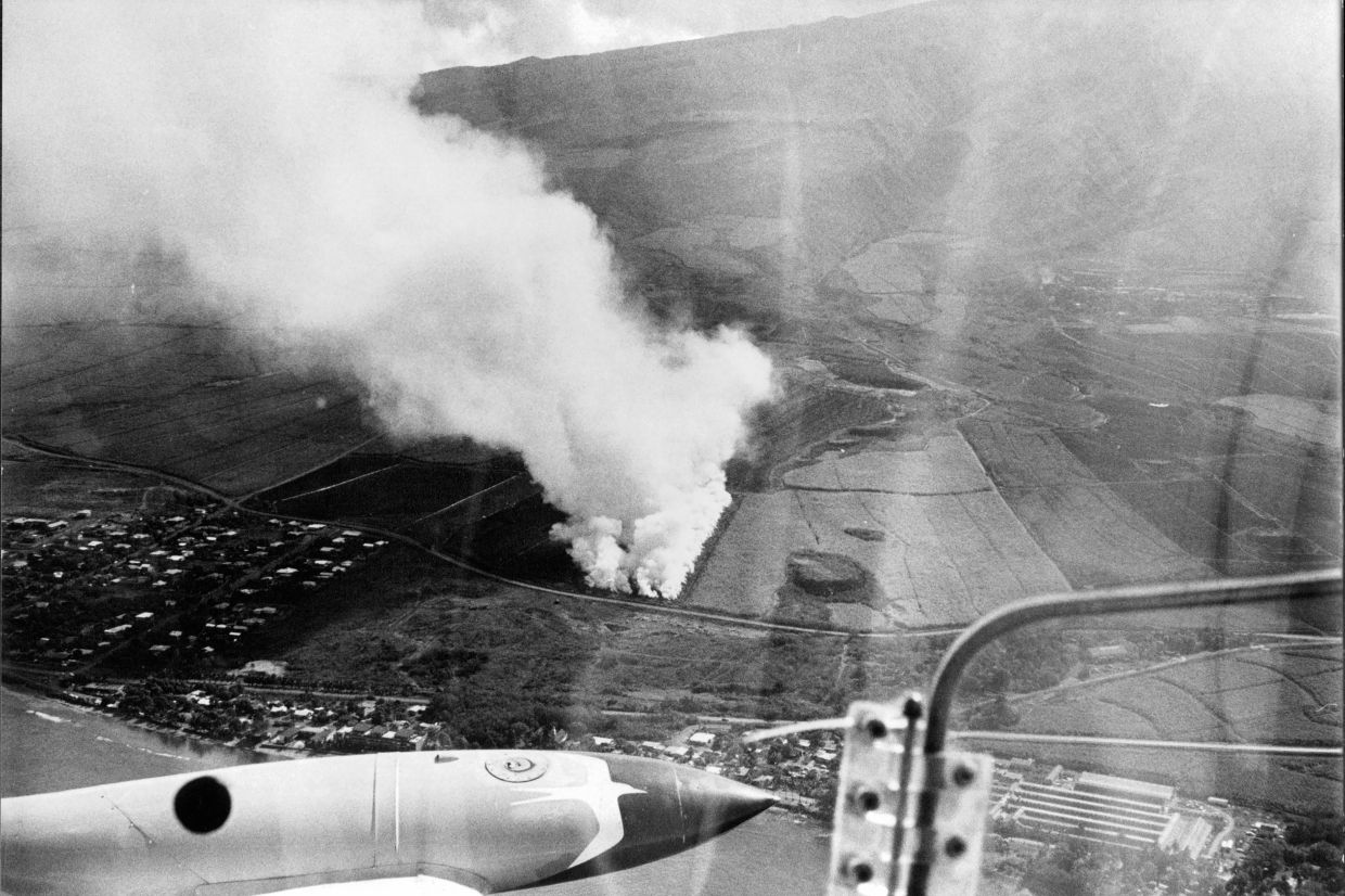 A deadly fire fueled by invasive plants | The Star