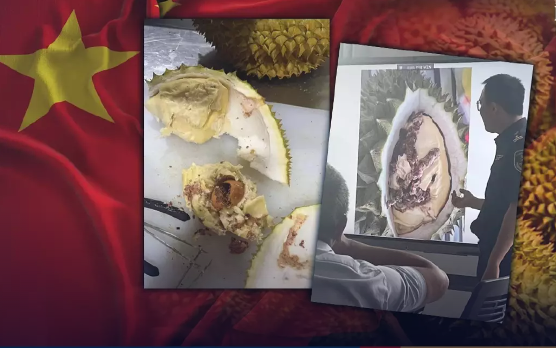 Worms put Chumphon durians at risk of export ban | The Star