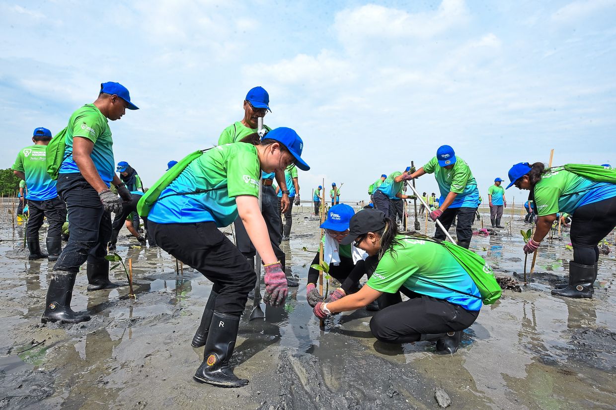 TNB GREENS THE NATION | The Star