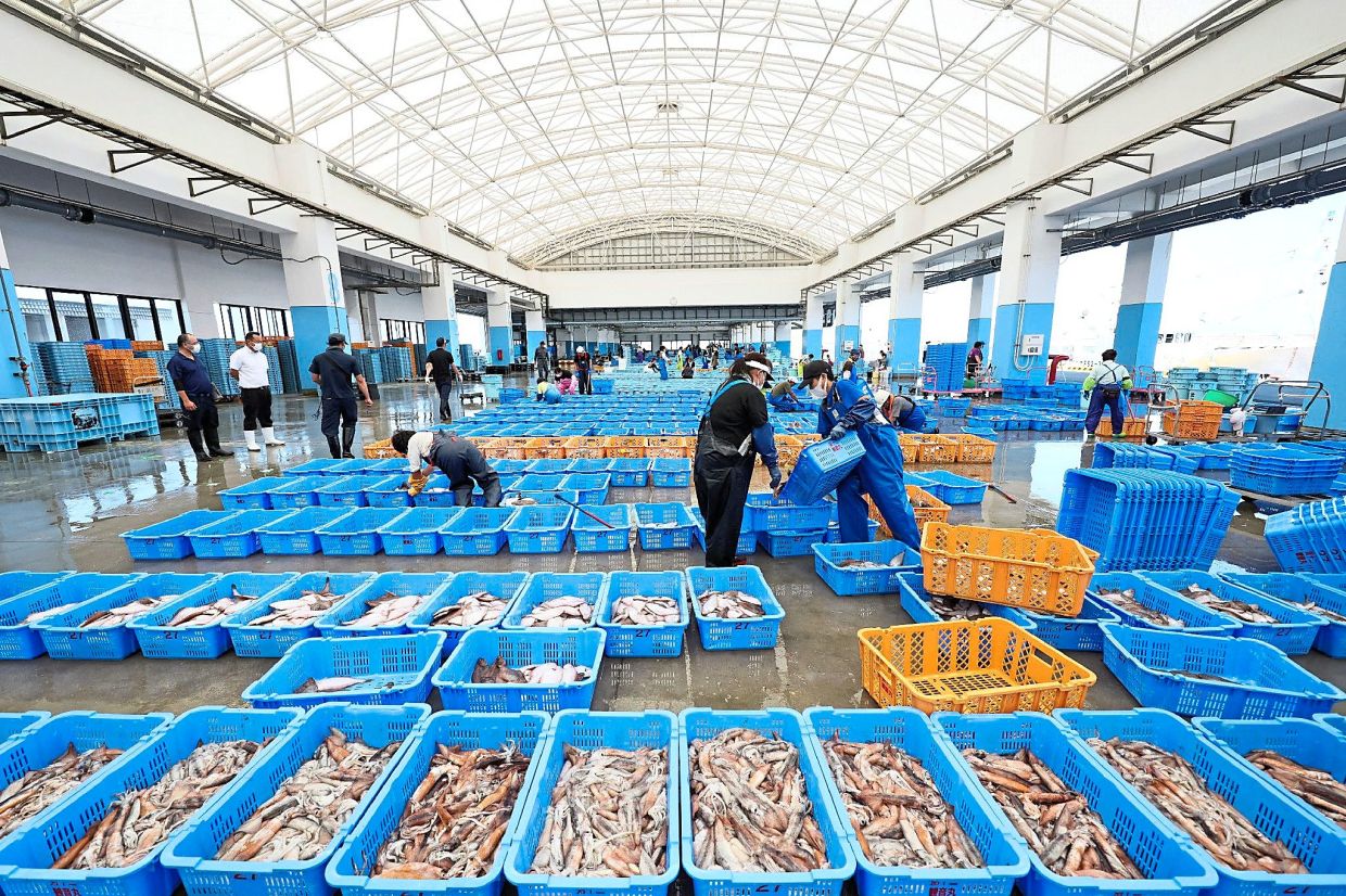 Special fund for seafood exporters | The Star