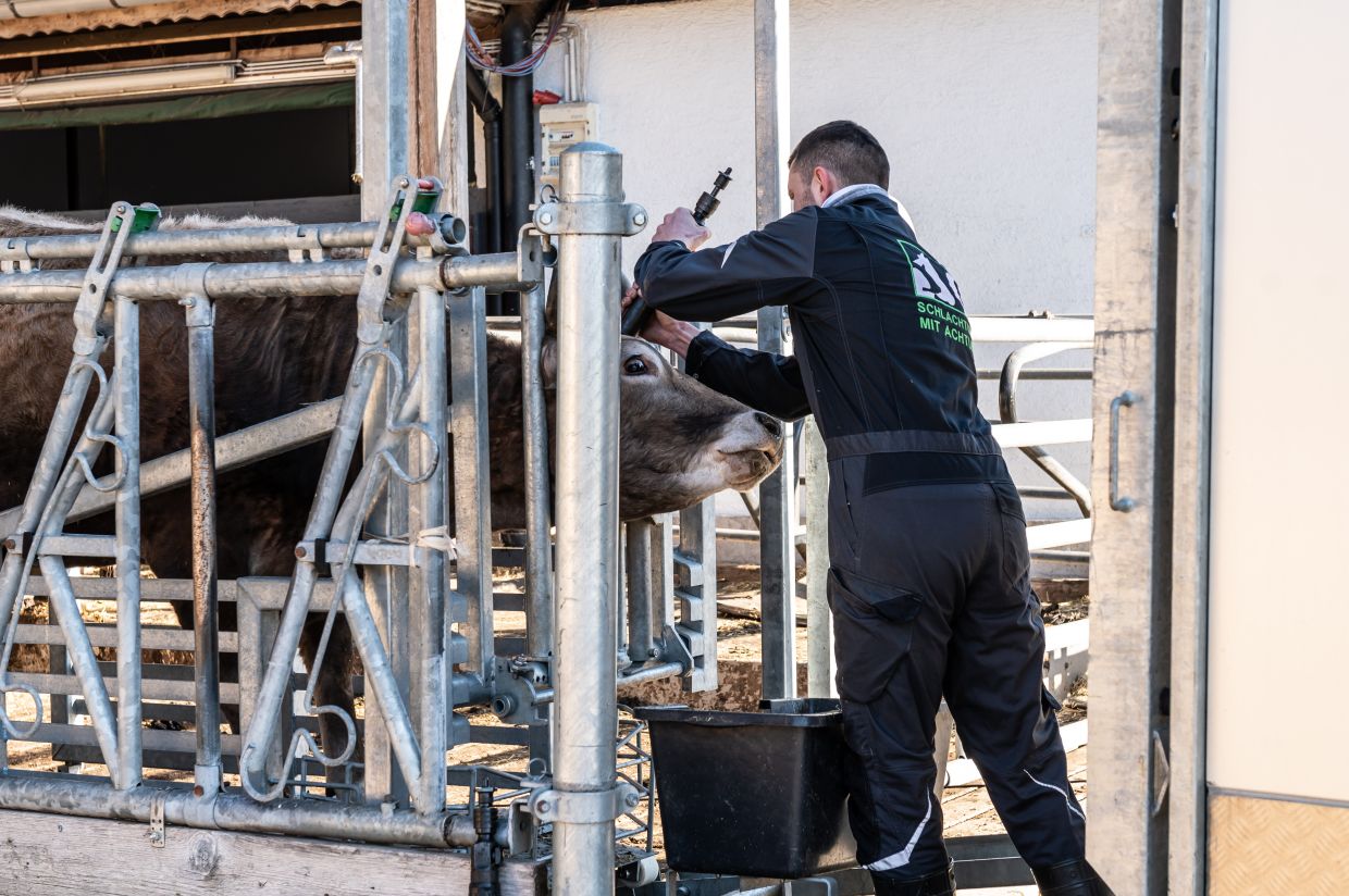 German farmers seek more humane methods to kill animals in the field ...