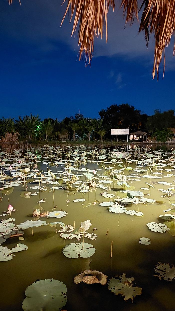 Vietnam's up-and-coming luxury resort town used to be a military base ...