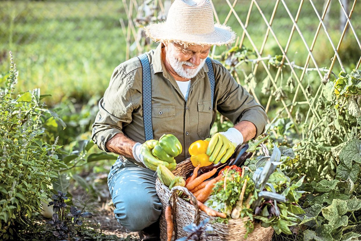 StarSilver: Why growing old is grand | The Star