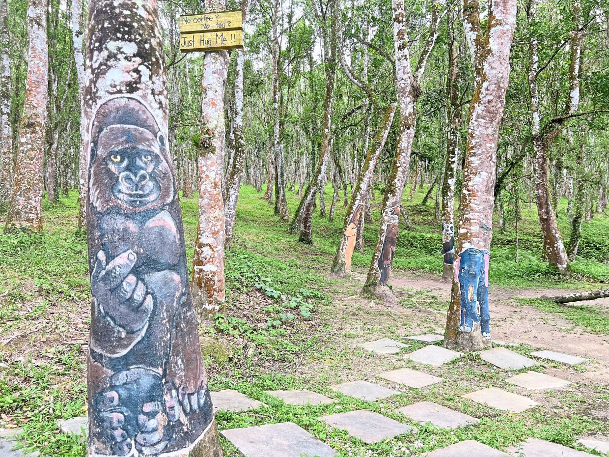 Remember to hug a tree when you visit this tea valley in Perak | The Star