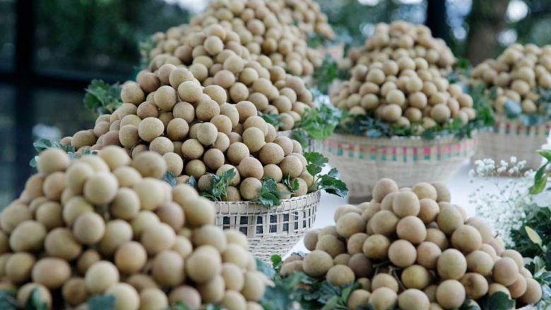 Longan exports to China fruitful with 8,118 tonnes | The Star