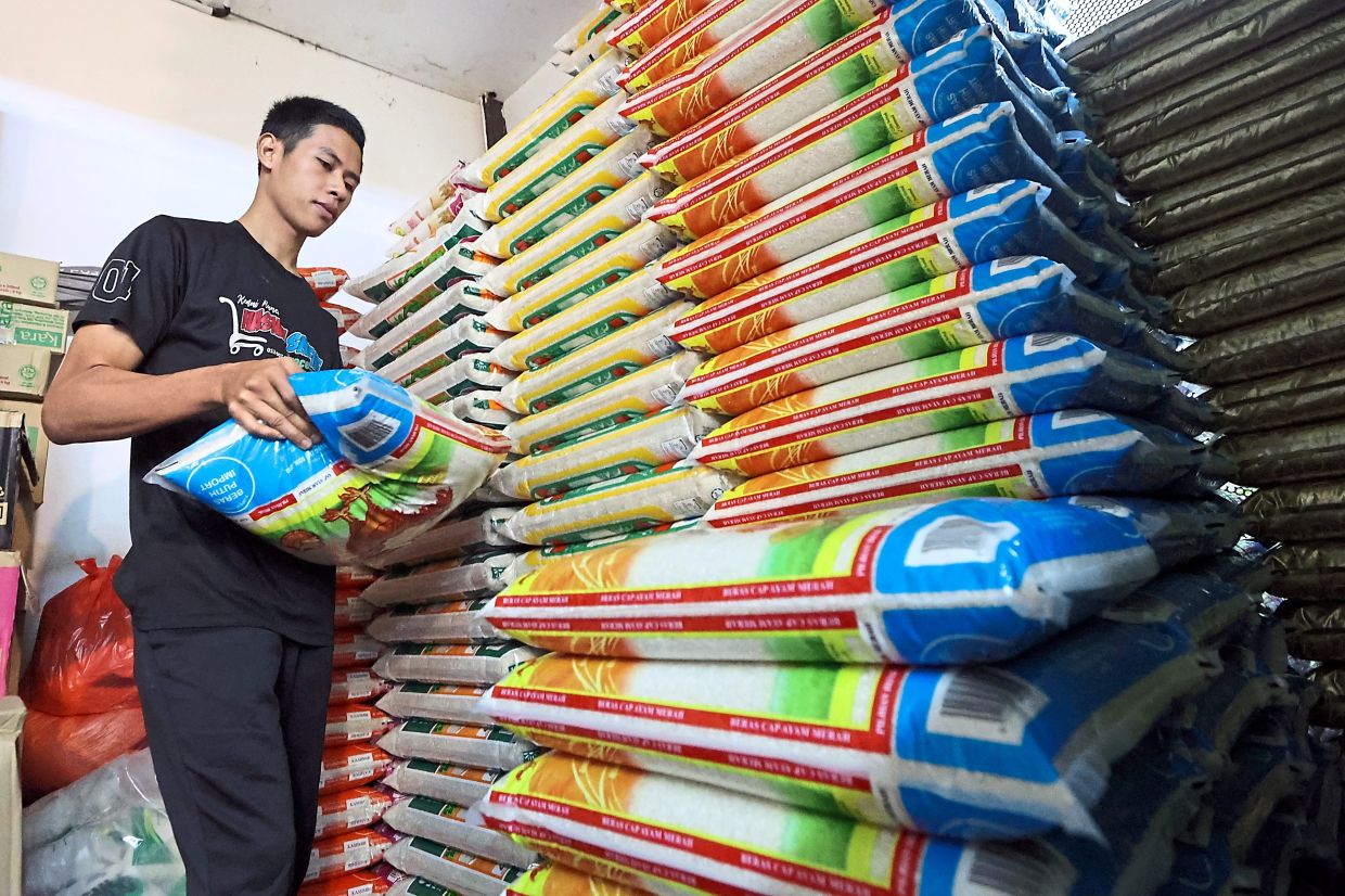 Impact of rising rice price negligible | The Star