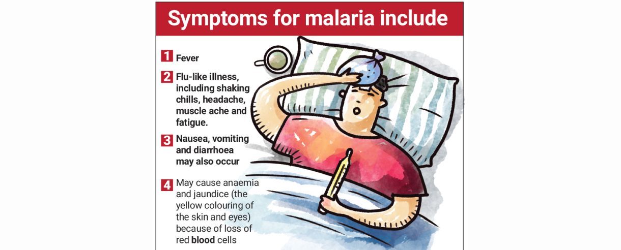 Malaria makes a scary comeback | The Star
