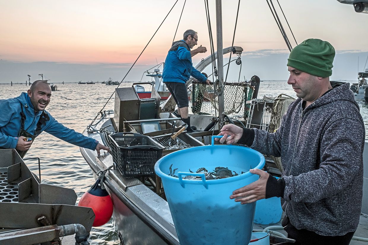 Clams ruled - but crabs took over | The Star