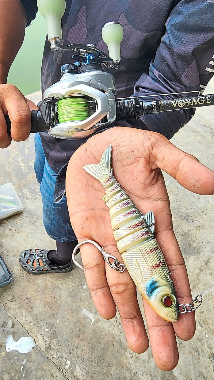 New to fishing? A paypond is the best place to practise and learn | The ...