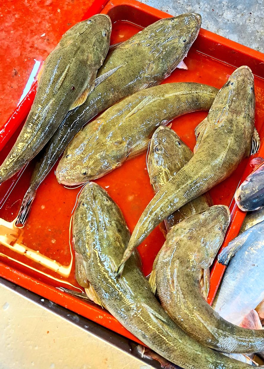 Unusual and delectable treats fished from the depths | The Star