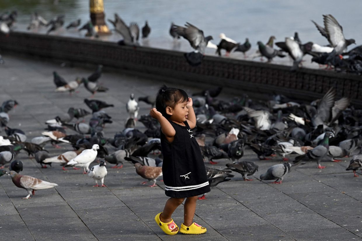 Two-year-old Cambodian girl dies from bird flu | The Star