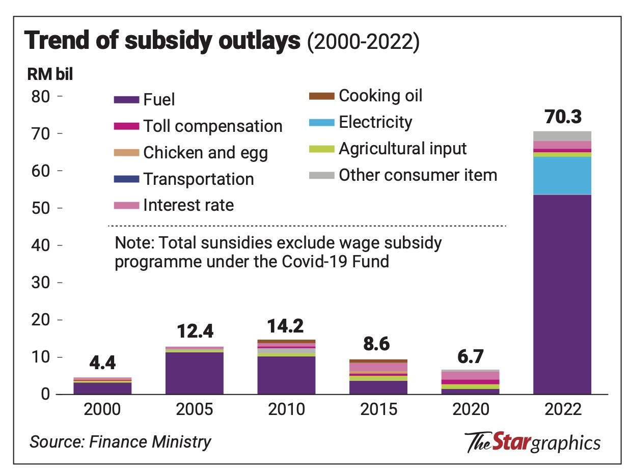 Subsidies: A double-edged sword that must be dealt with carefully | The Star