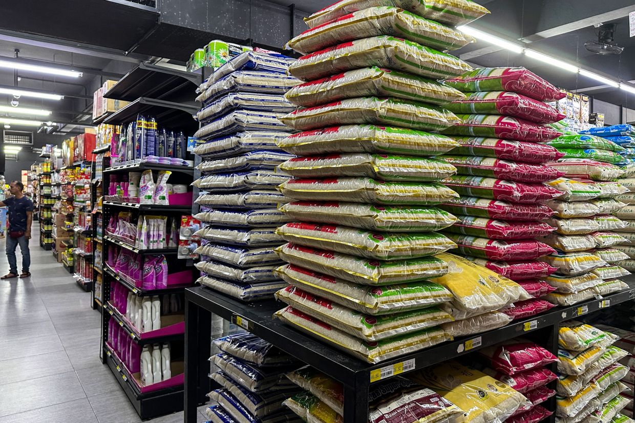 More major moves on boosting rice supply | The Star