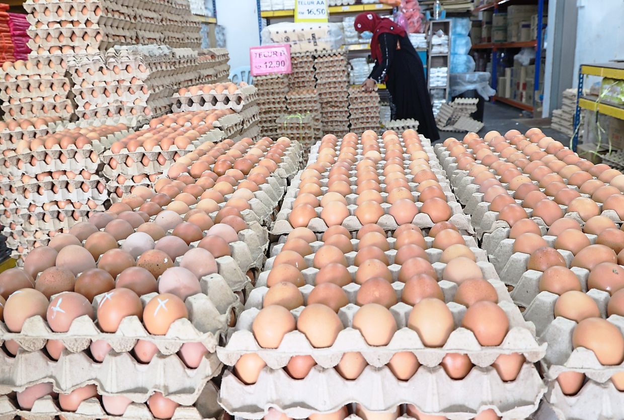 Chan: Market free to move with lifting of price controls | The Star