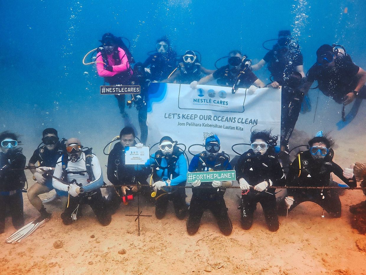 Diving in to clean up oceans and beaches | The Star
