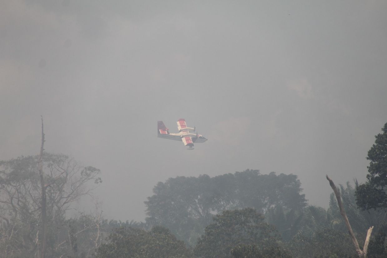 MMEA deploys water-bombing aircraft in Kota Tinggi | The Star
