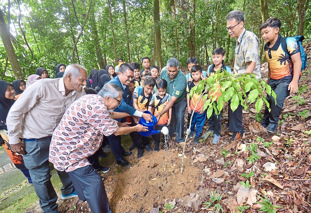 Teaching the young about nature | The Star