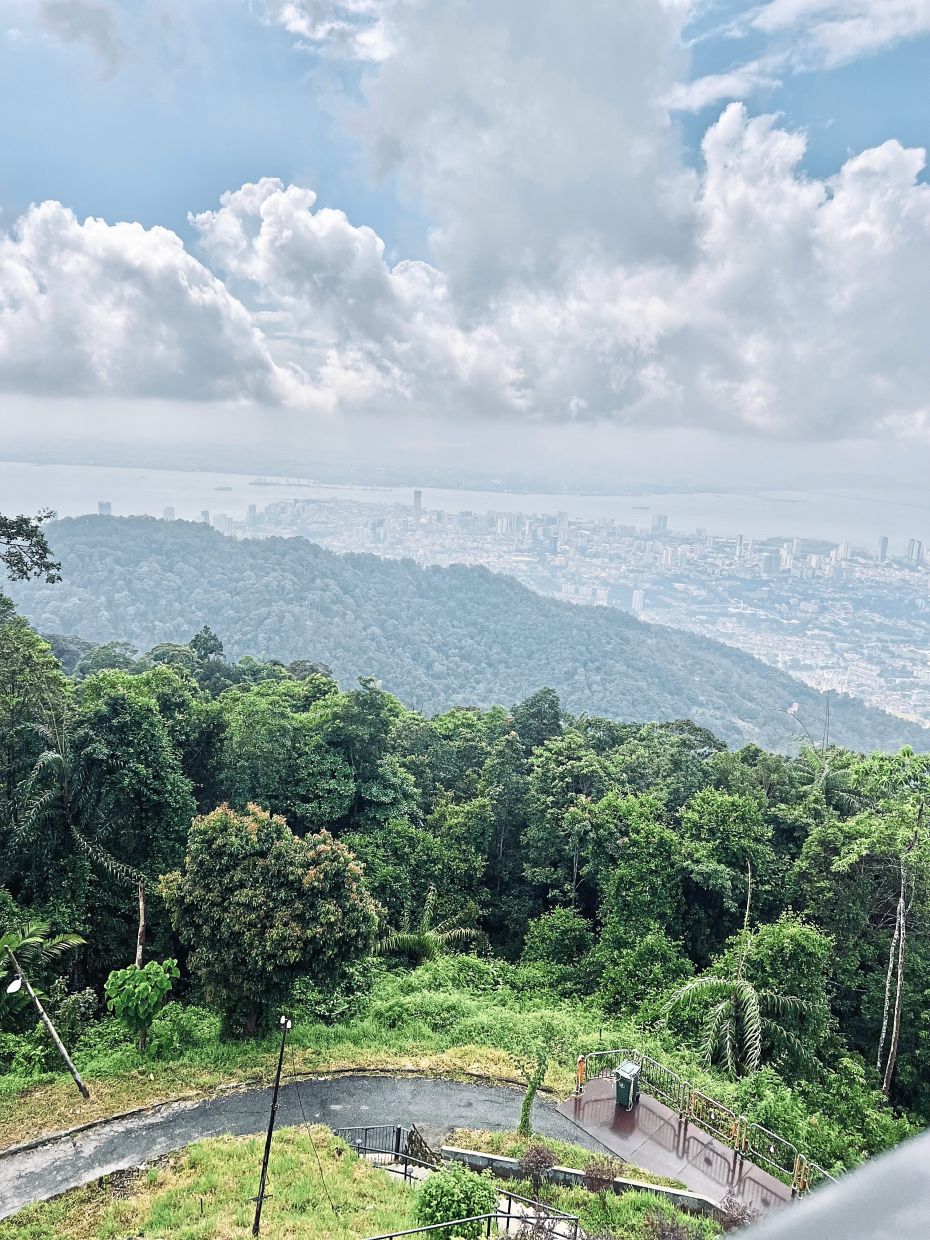 Penang Hill's ancient rainforest holds a vibrant history | The Star