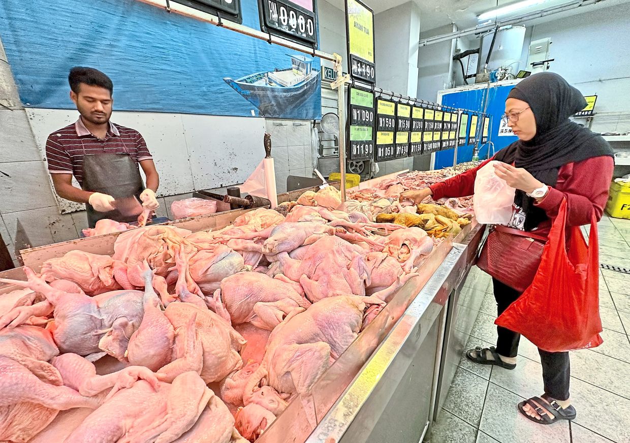 Floating chicken price: Govt confident there will be no sudden hike ...