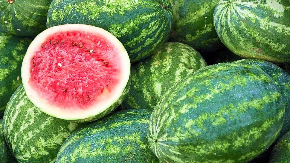 Palestine's watermelon resistance | The Star