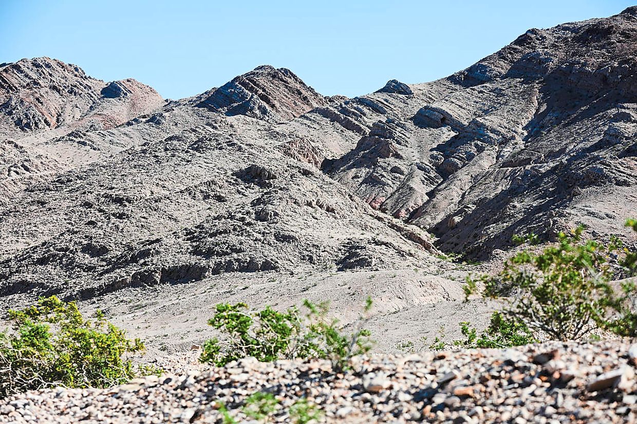 Colton Lochhead - Journalist Profile - Intelligent Relations