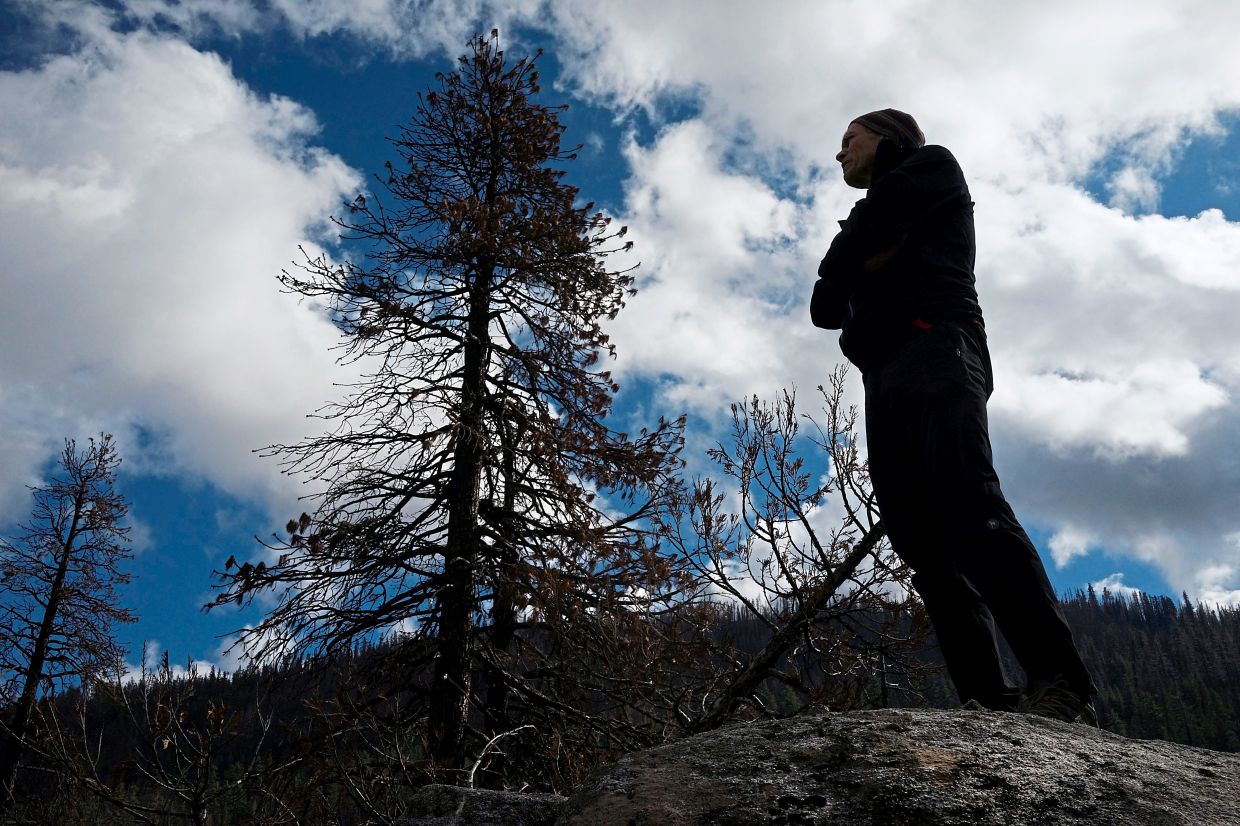Saving forests – to burn or not to burn | The Star