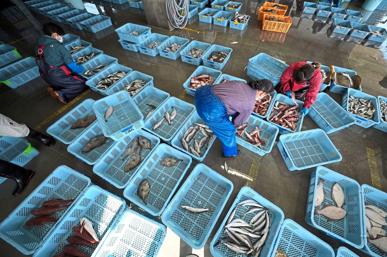 Japanese eating more local fish in spite of China’s ban due to ...
