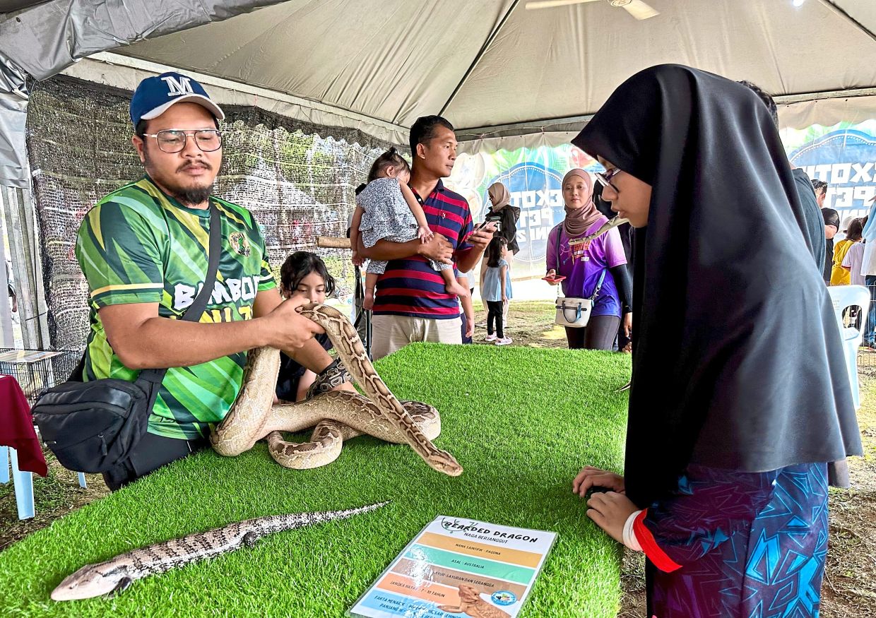 Fun mass picnic gets Putrajaya into record book | The Star